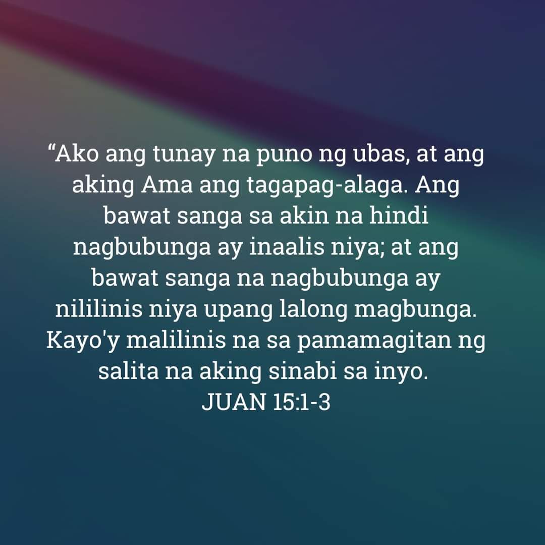 Juan 15:1-3 - Jesus is my Lord and Savior